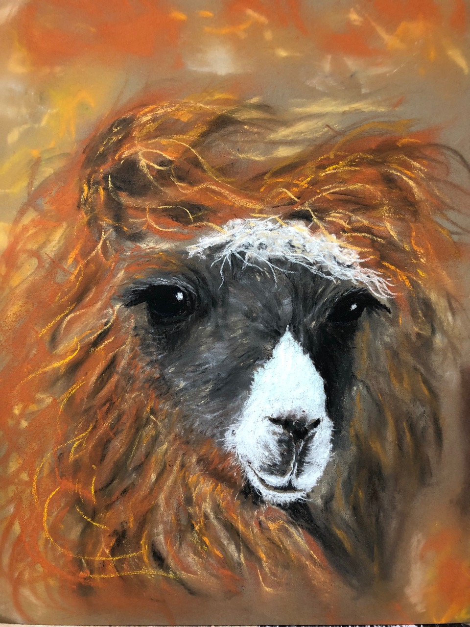 Jan Rau - Elk Grove Fine Arts Center